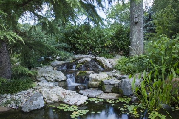 Wassergarten anlegen - Tipps und Ideen für Wasserspiele