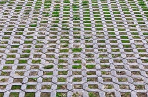 Schotterrasen für den Garten - Ideen, Aufbau & Anlage